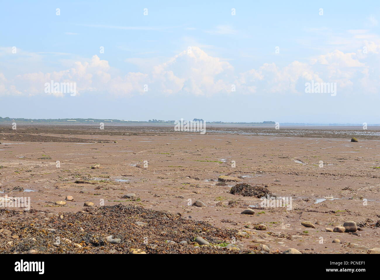 Muddy beach hi-res stock photography and images - Alamy
