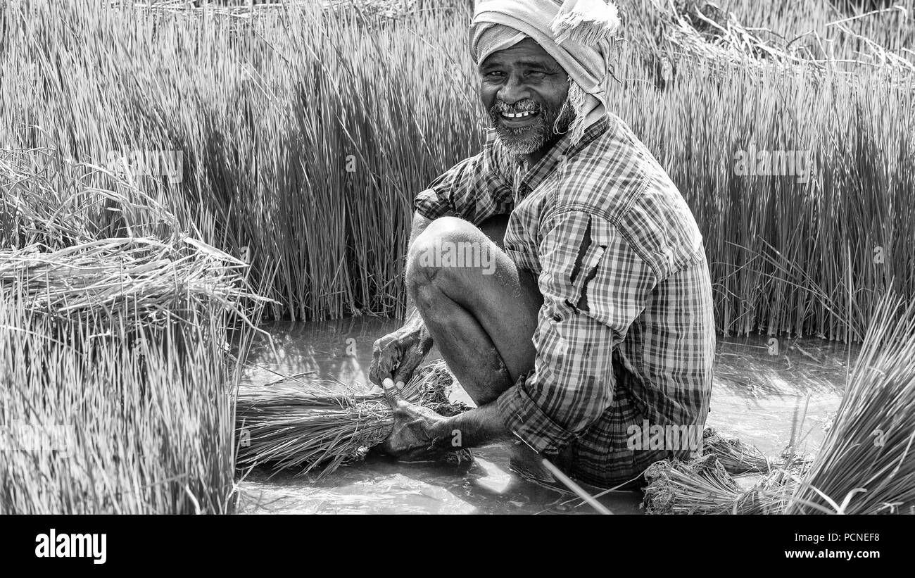 Tamilnadu agricultural land hi-res stock photography and images - Alamy