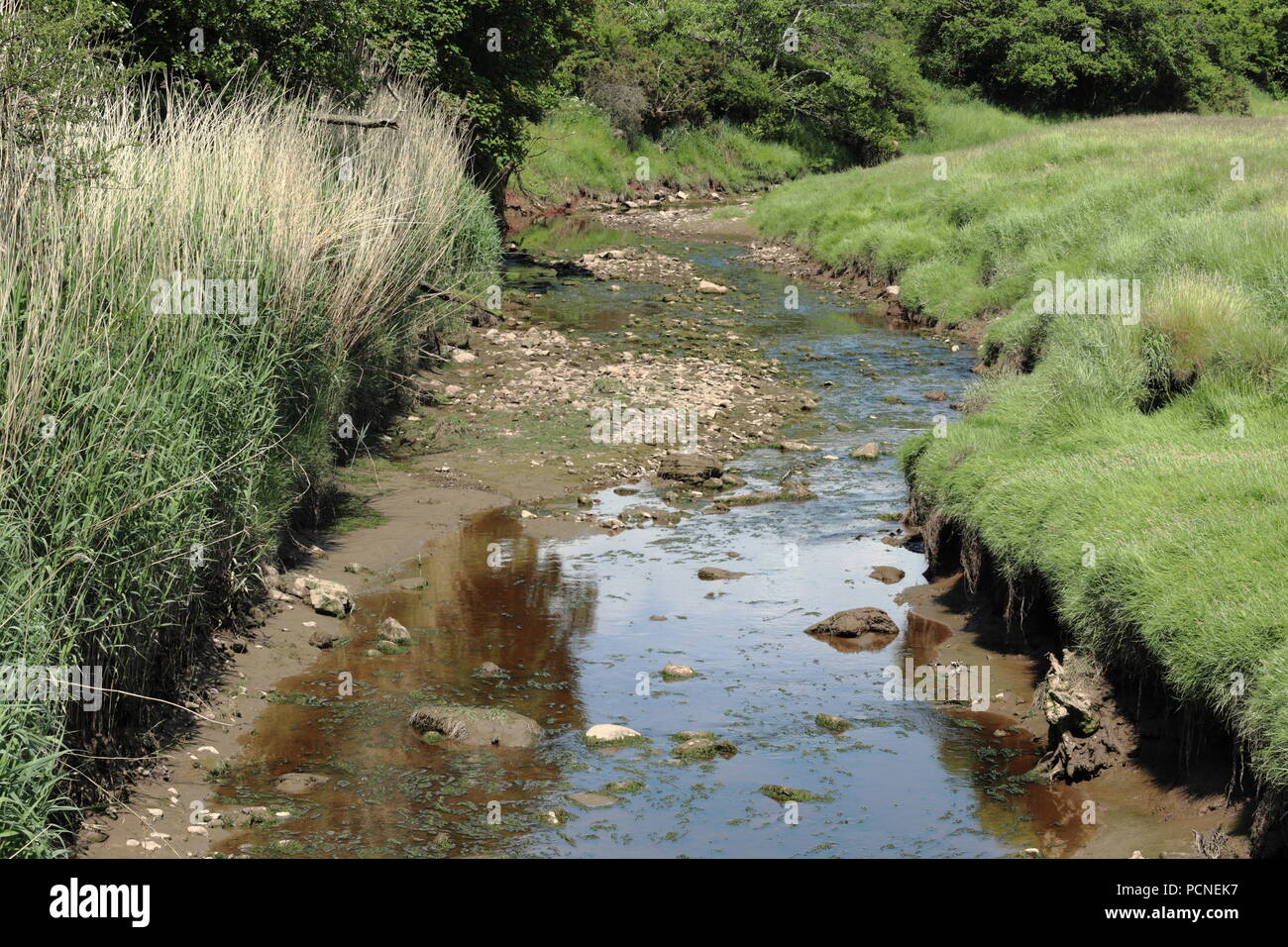 Dirty River Water