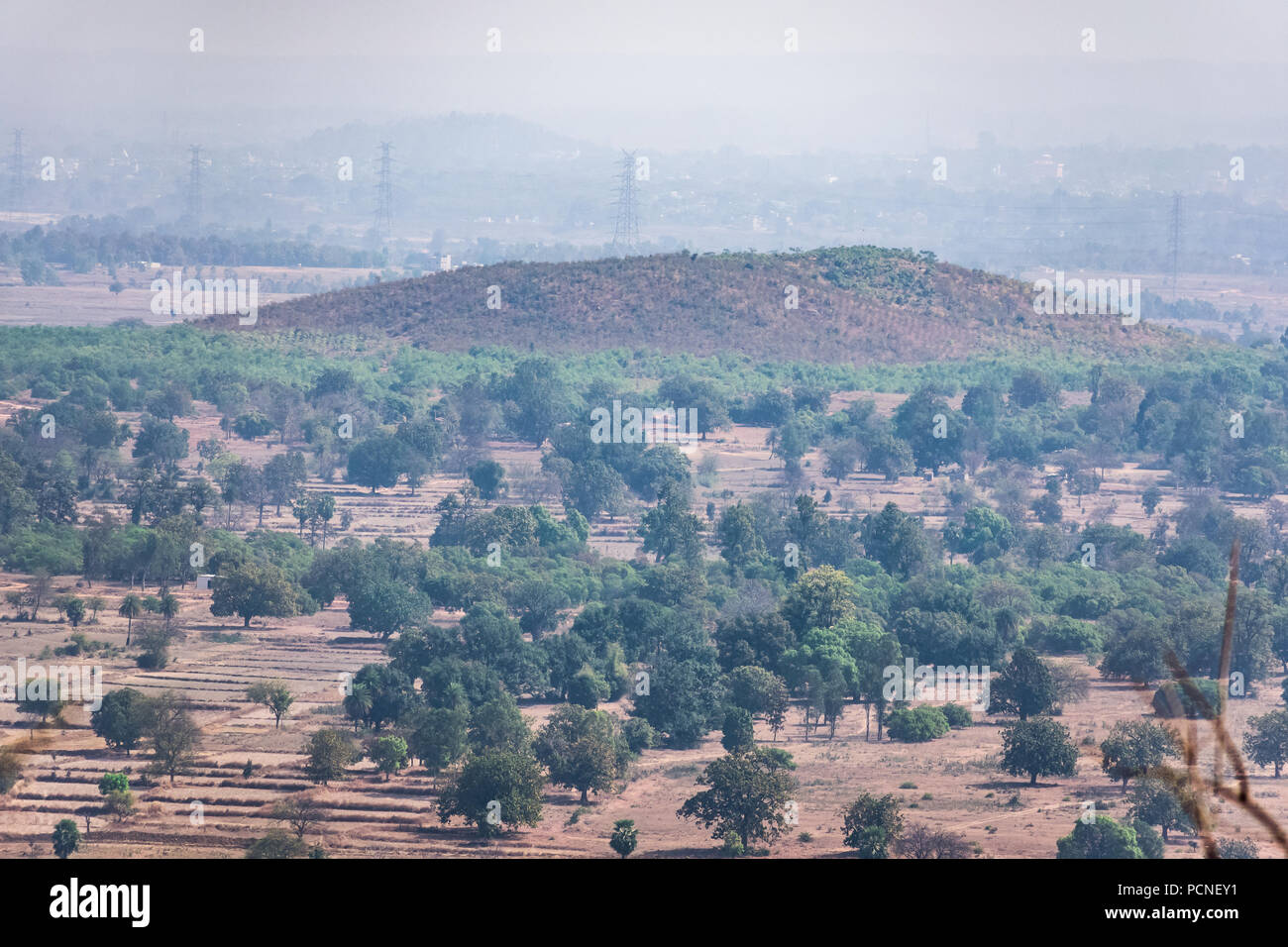 aerial photo of agro landscape of field & small forest from a top of ...