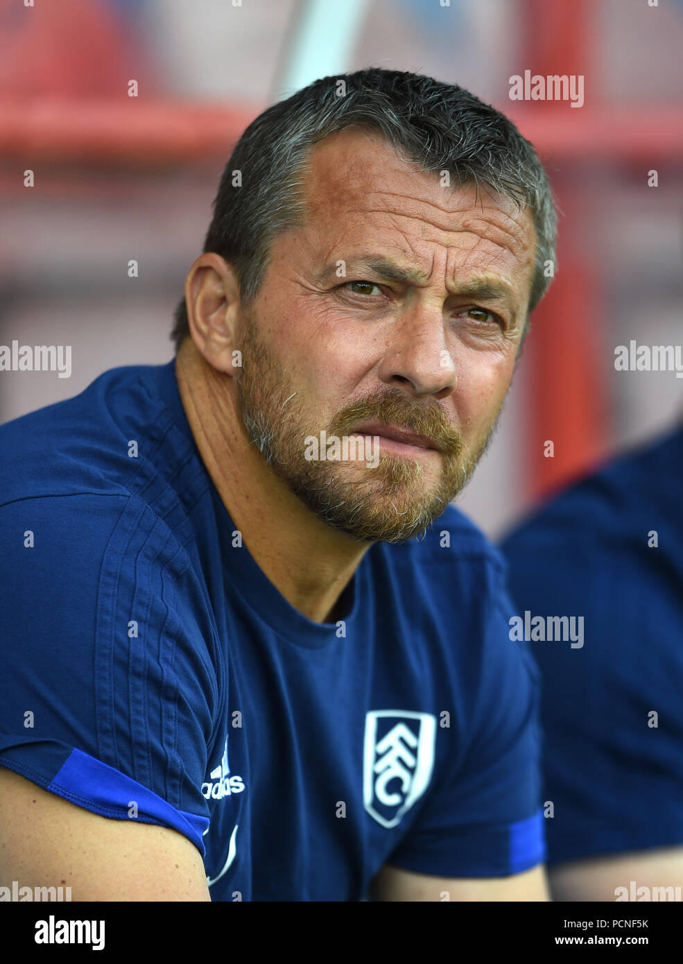 Fulham manager Slavisa Jokanovic Stock Photo - Alamy