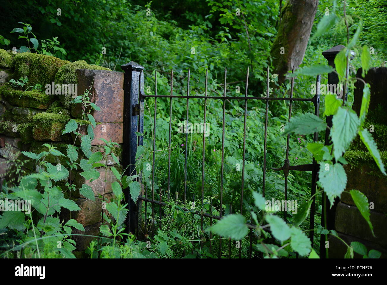 Old overgrown gate Stock Photo - Alamy