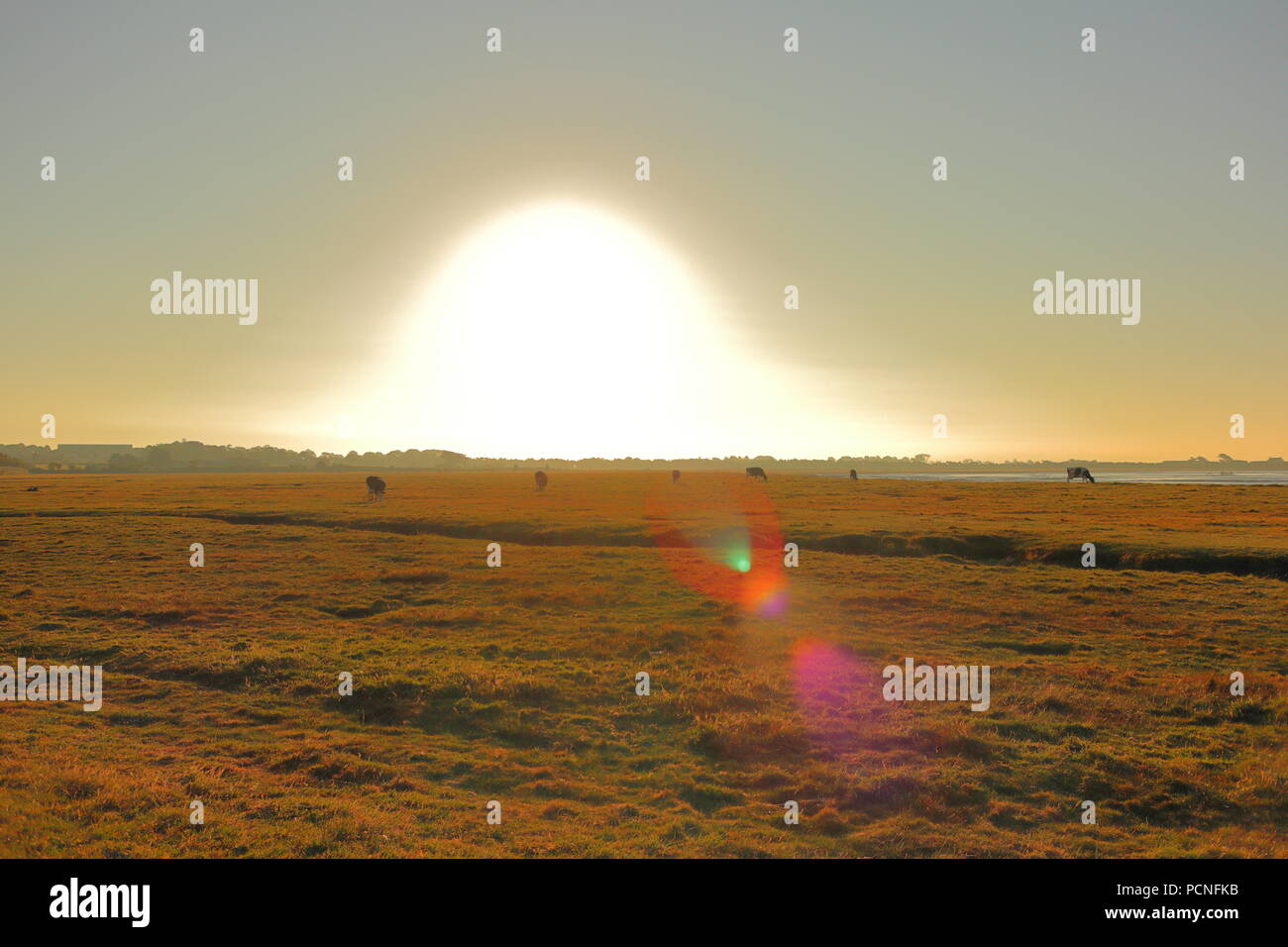 Atomic sun hi-res stock photography and images - Alamy
