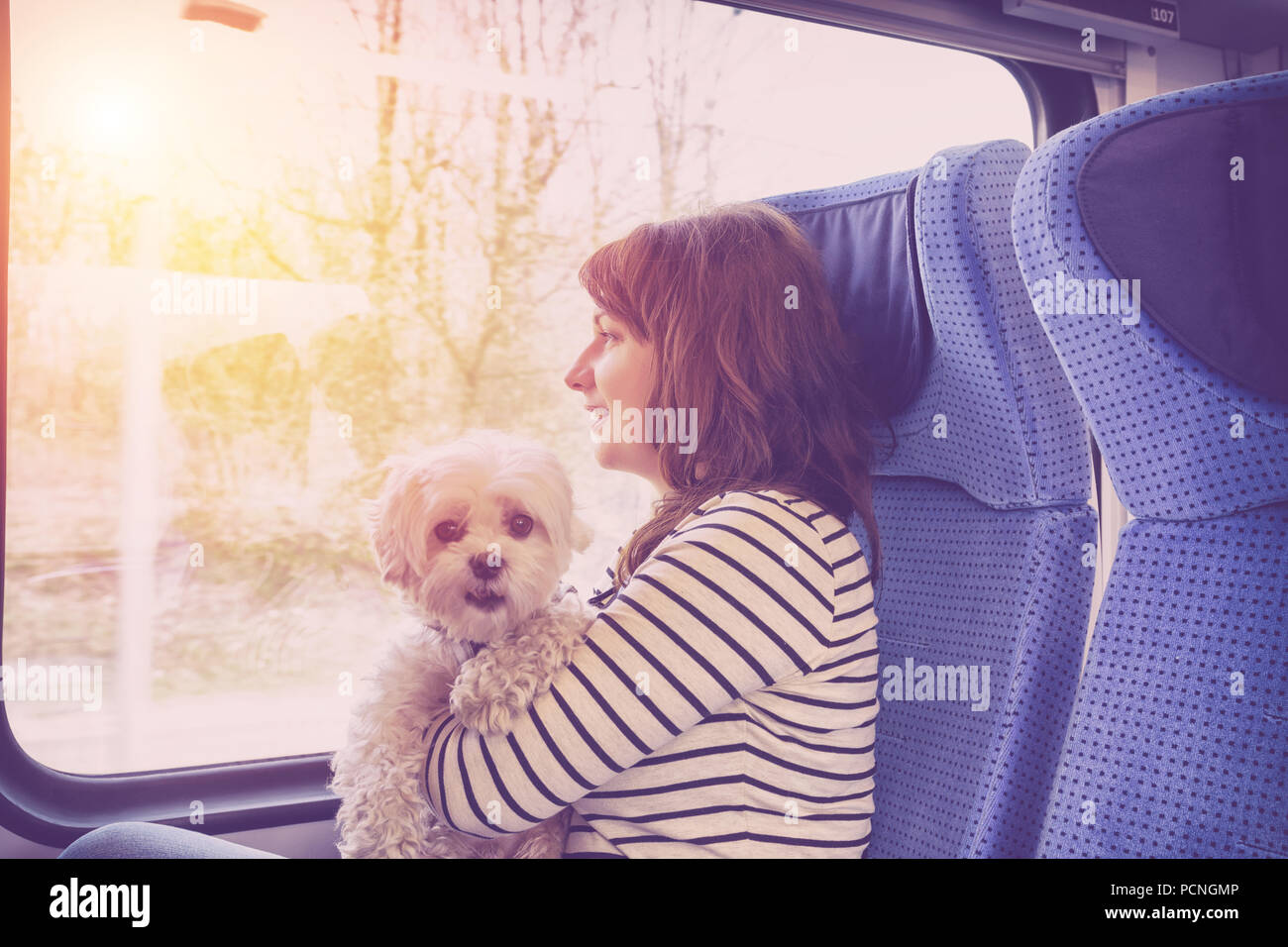 Owner and pet traveling hi-res stock photography and images - Alamy