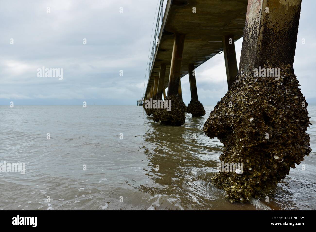 The Cardwell Jetty, Cardwell, Queensland, Australia Stock Photo - Alamy