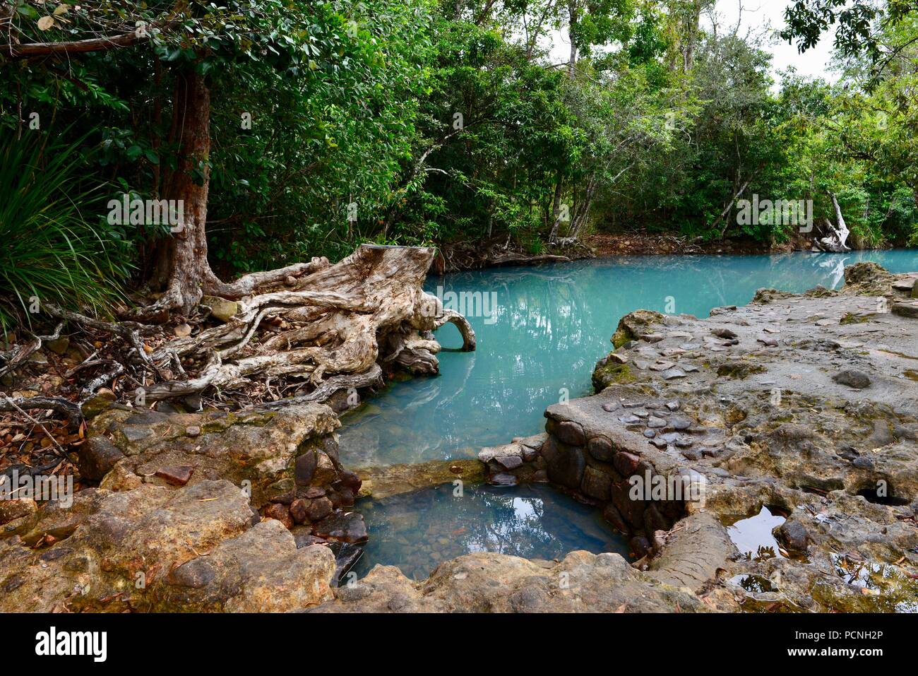 Cardwell pool hi-res stock photography and images - Alamy
