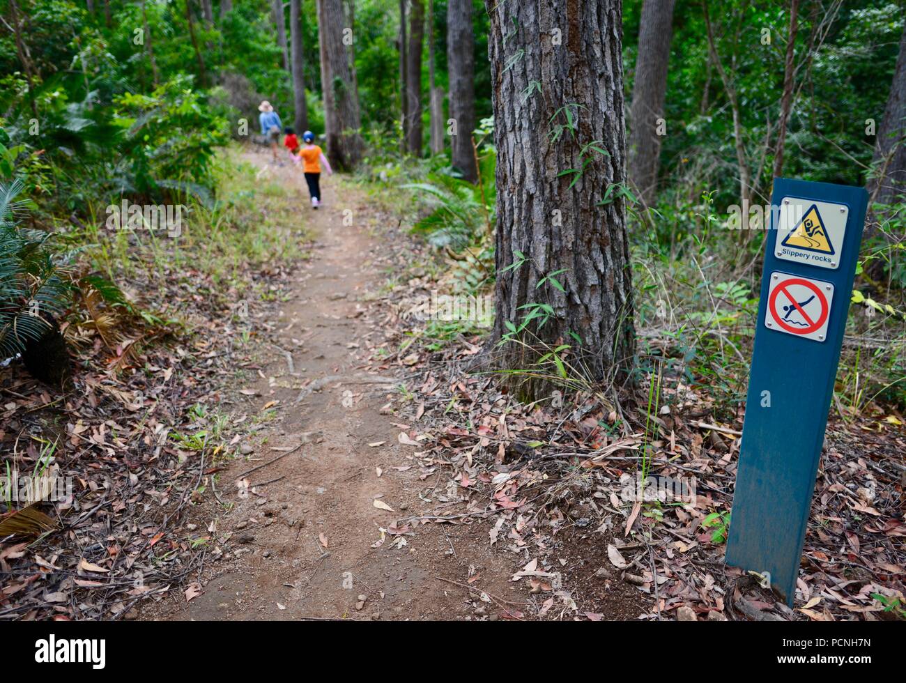 No diving warning sign on the walk to Attie Creek waterfall, Cardwell ...