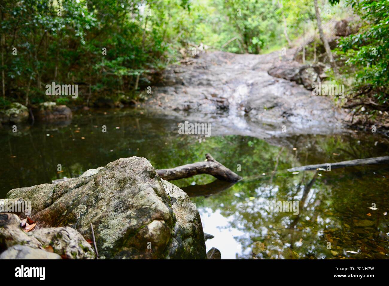Cardwell queensland hi-res stock photography and images - Alamy
