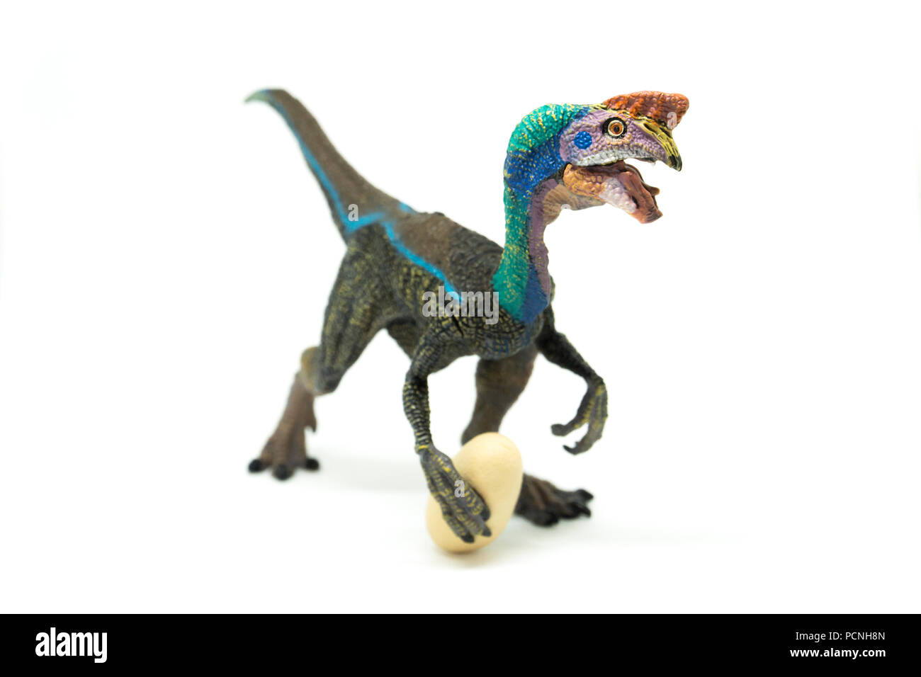 Oviraptor hi-res stock photography and images - Alamy
