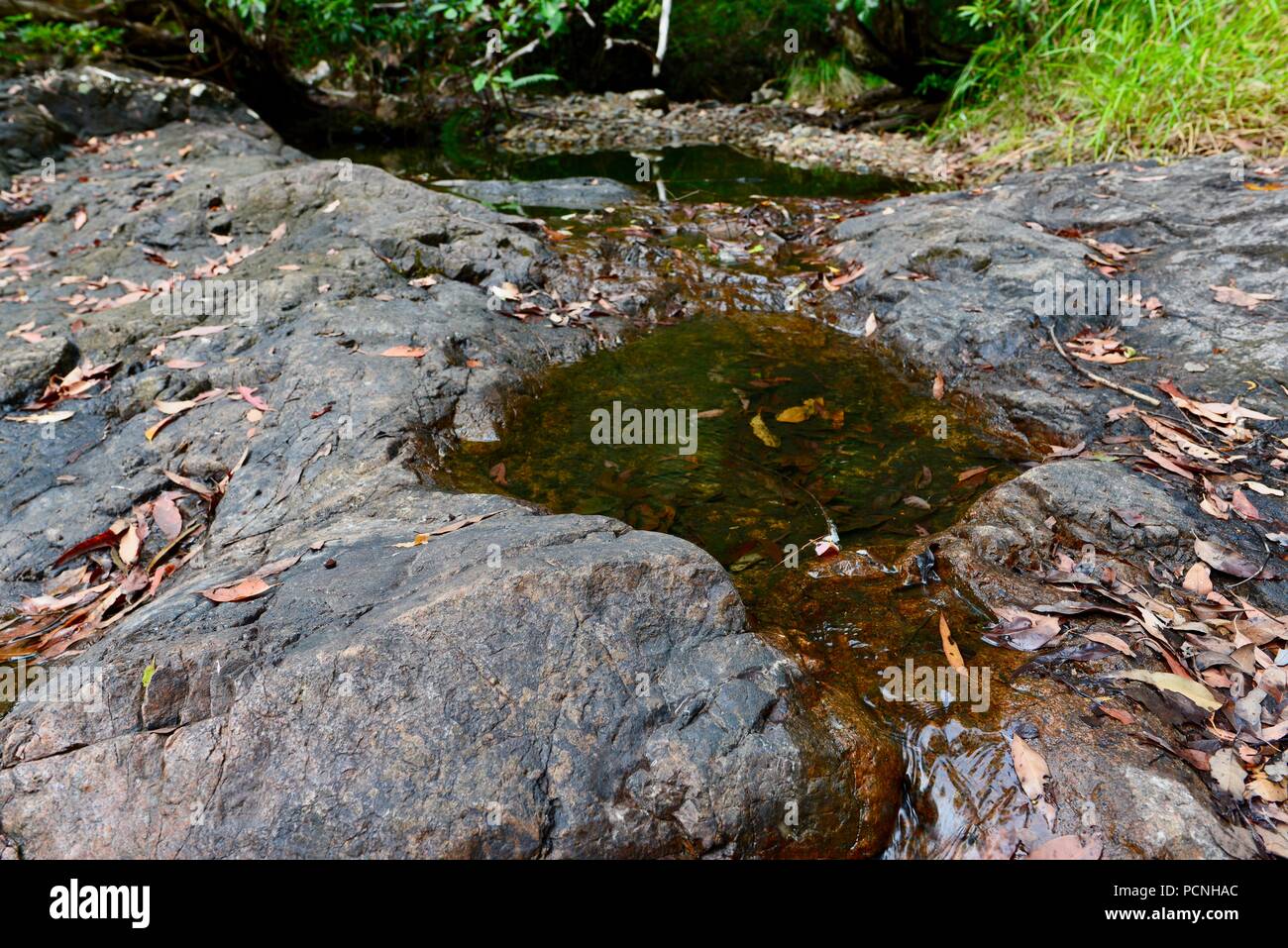 A small rockpool at Attie Creek, Cardwell, Queensland, Australia Stock ...
