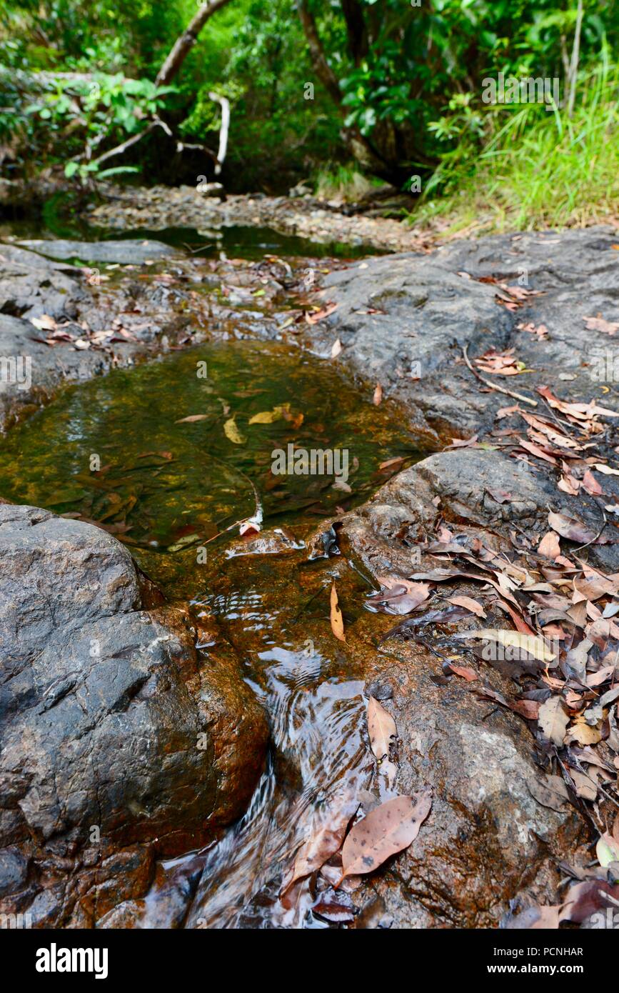 Dry rockpool hi-res stock photography and images - Alamy