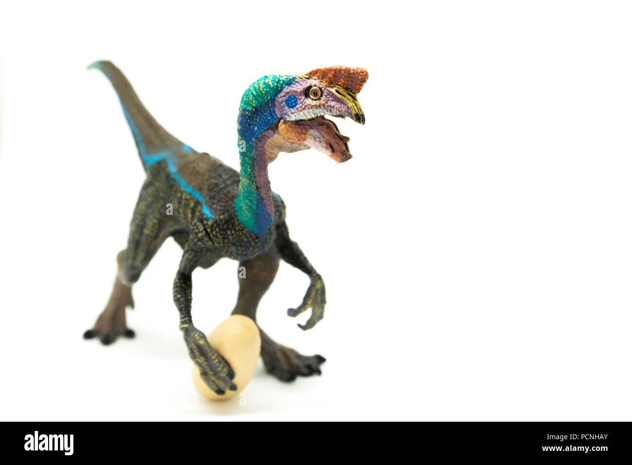 Oviraptor on white background Stock Photo - Alamy