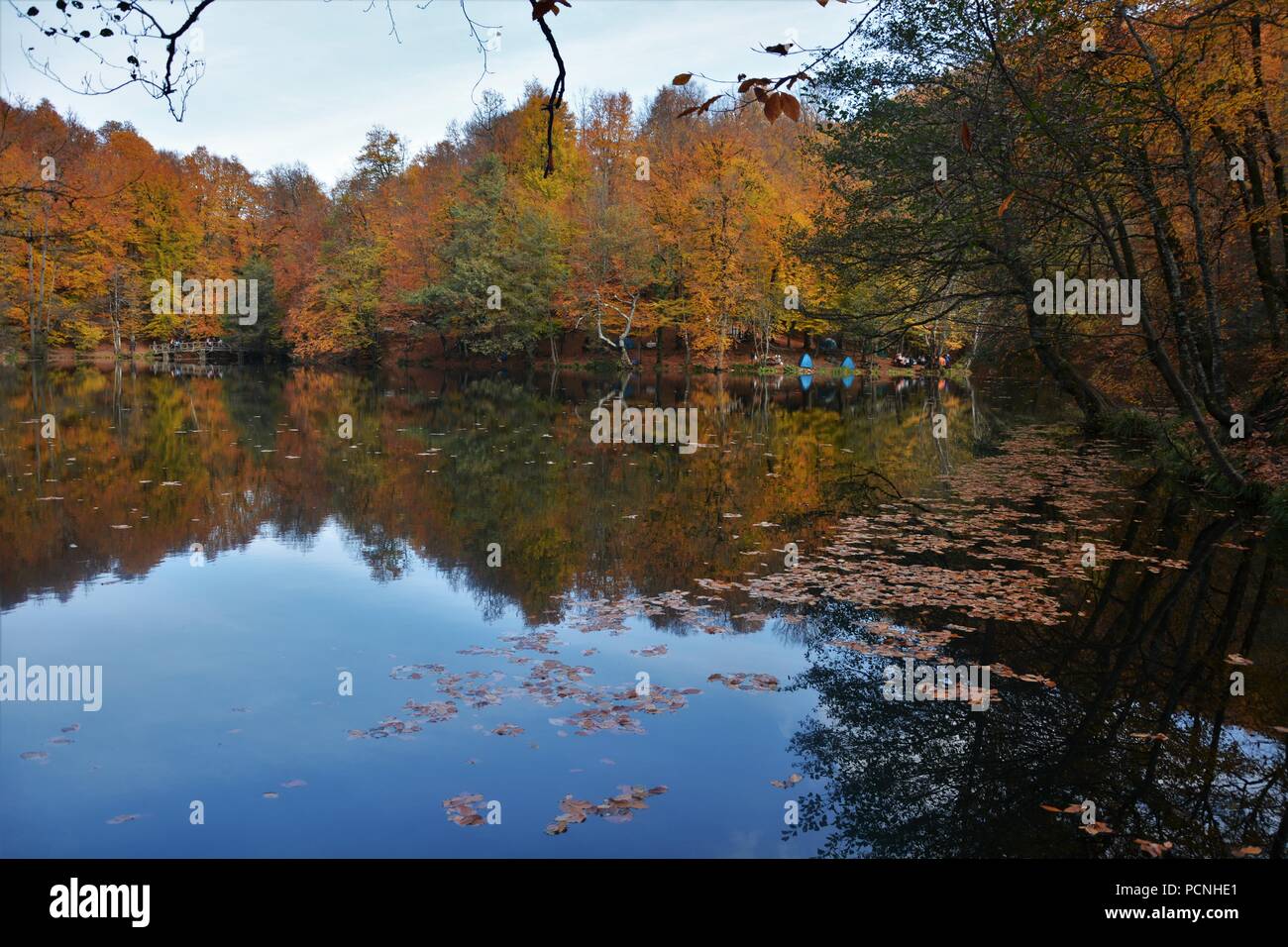 Yedigöller National Park in Autumn Stock Photo - Alamy