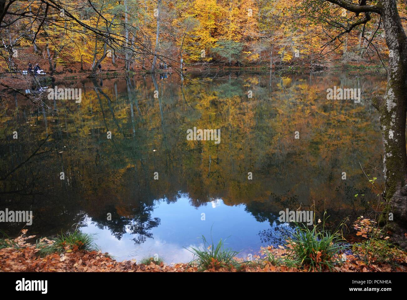Yedigöller National Park in Autumn Stock Photo - Alamy