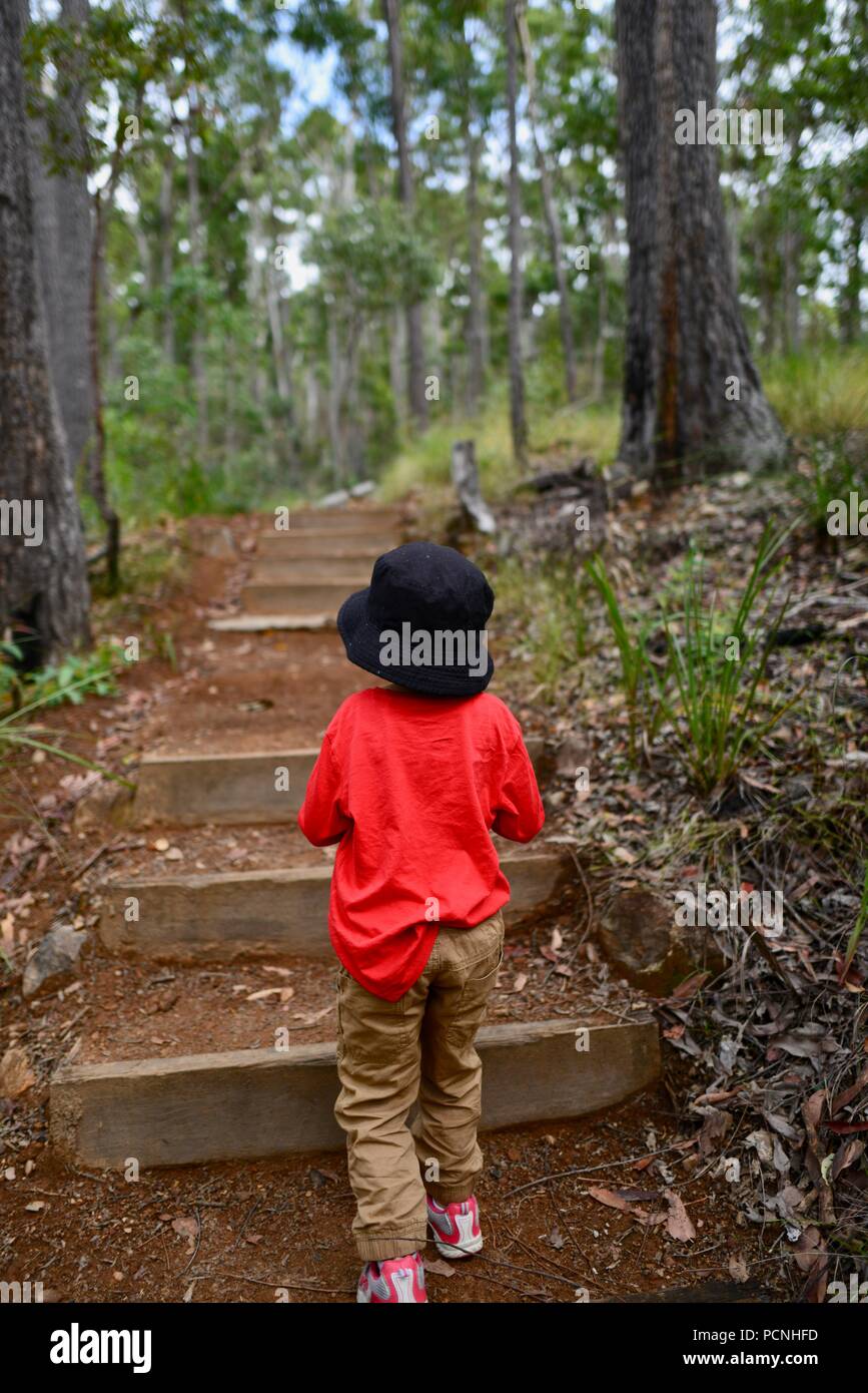 Children hiking through a rainforest hi-res stock photography and ...