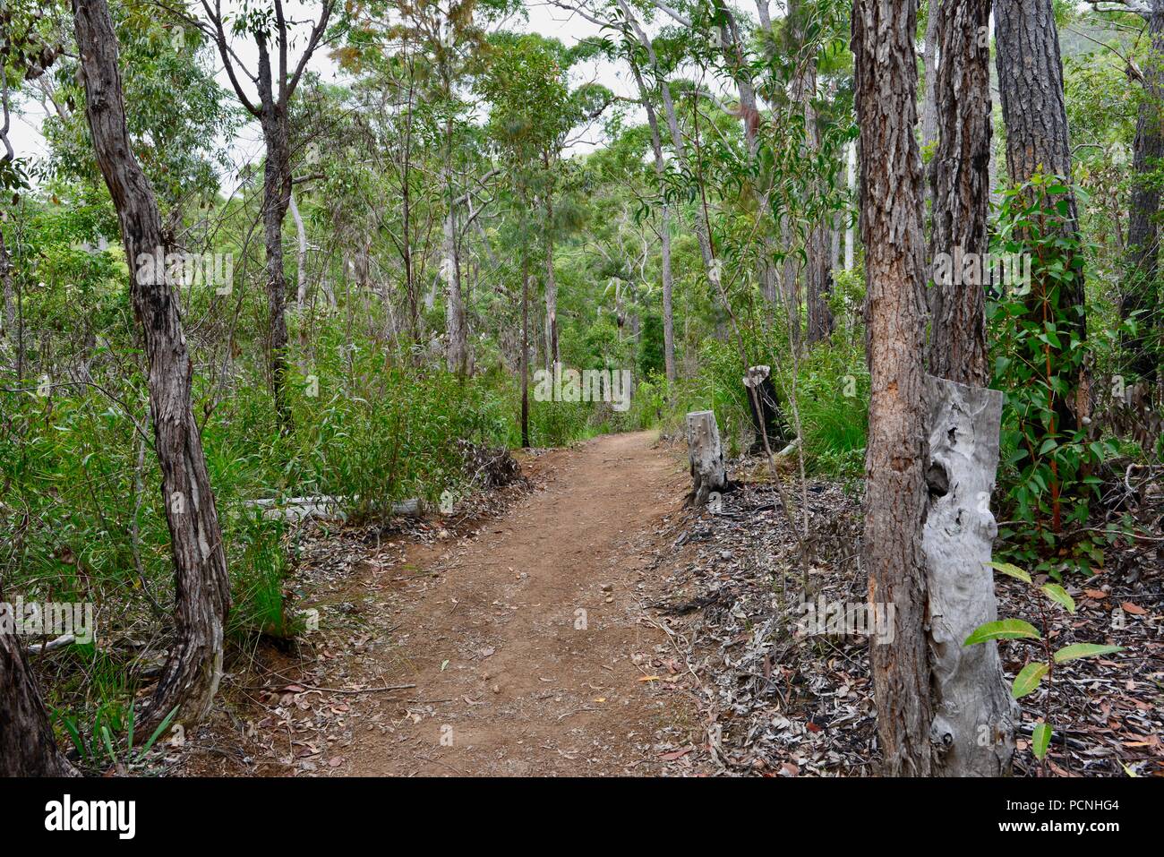 Cardwell, Queensland, Australia Stock Photo - Alamy