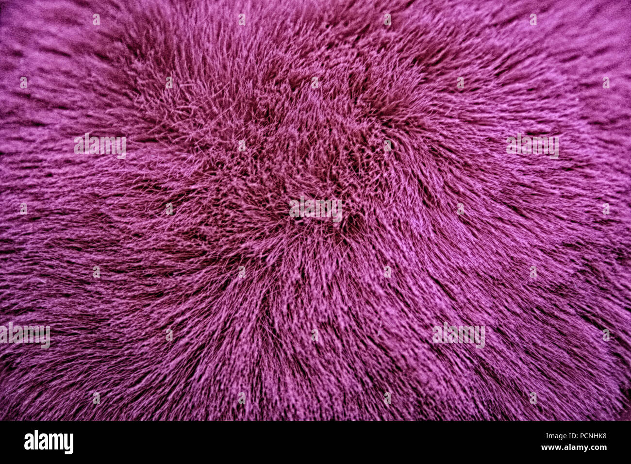 Pink color wool detail texture macro zoom Stock Photo - Alamy