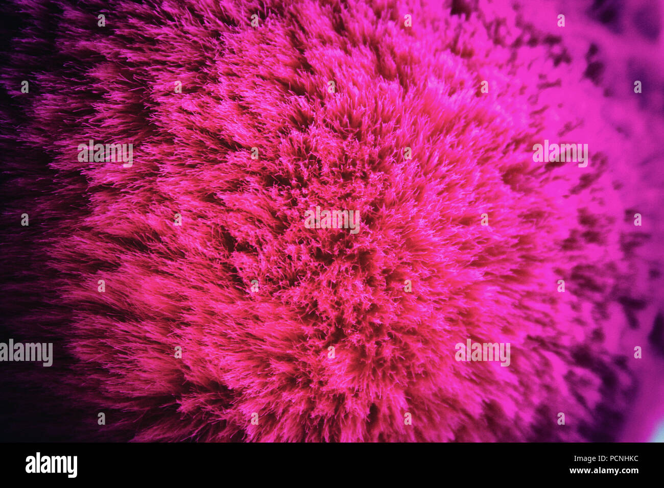 Pink color wool detail texture macro zoom Stock Photo - Alamy
