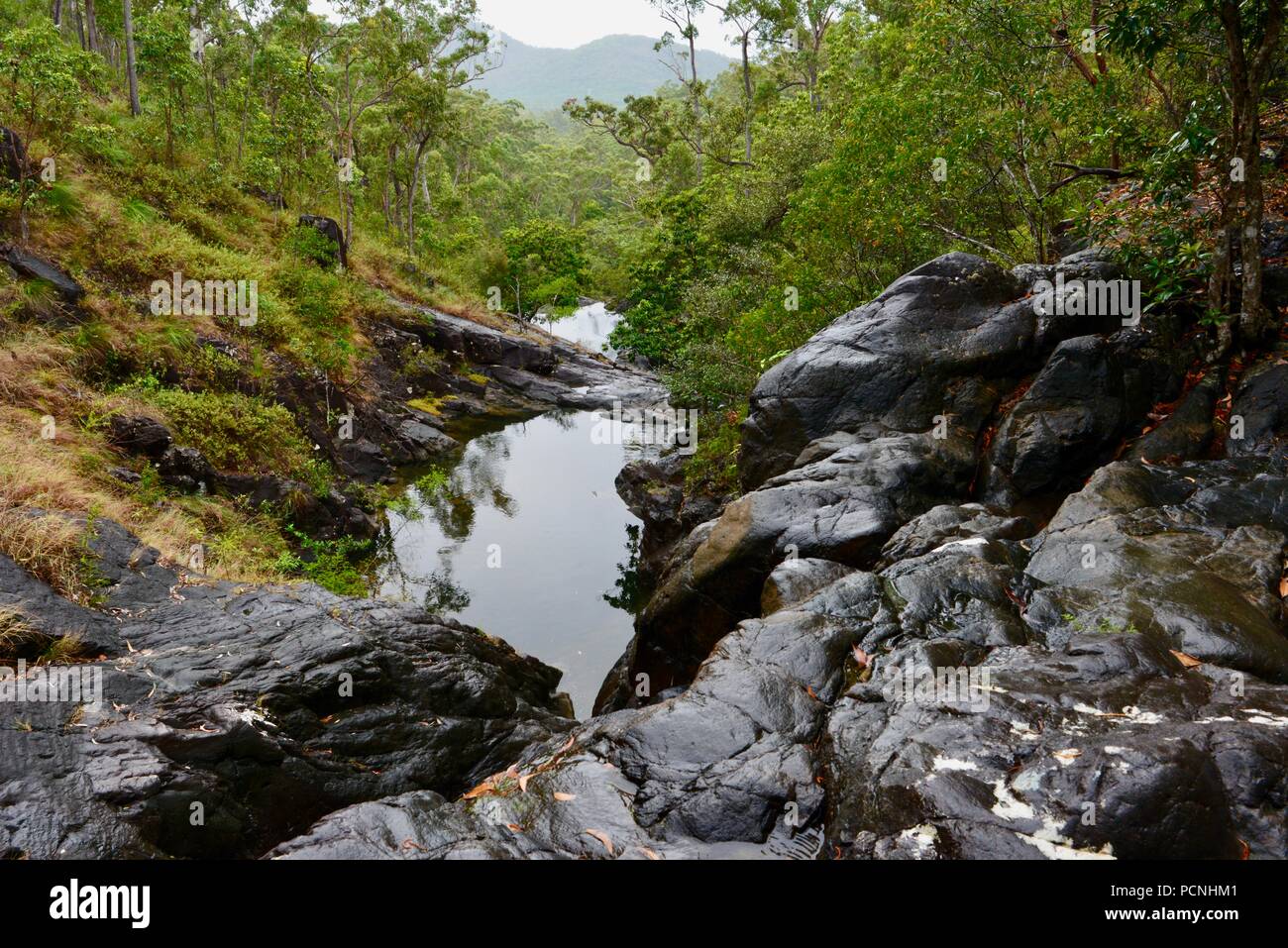 Misty creek lookout australia hi-res stock photography and images - Alamy