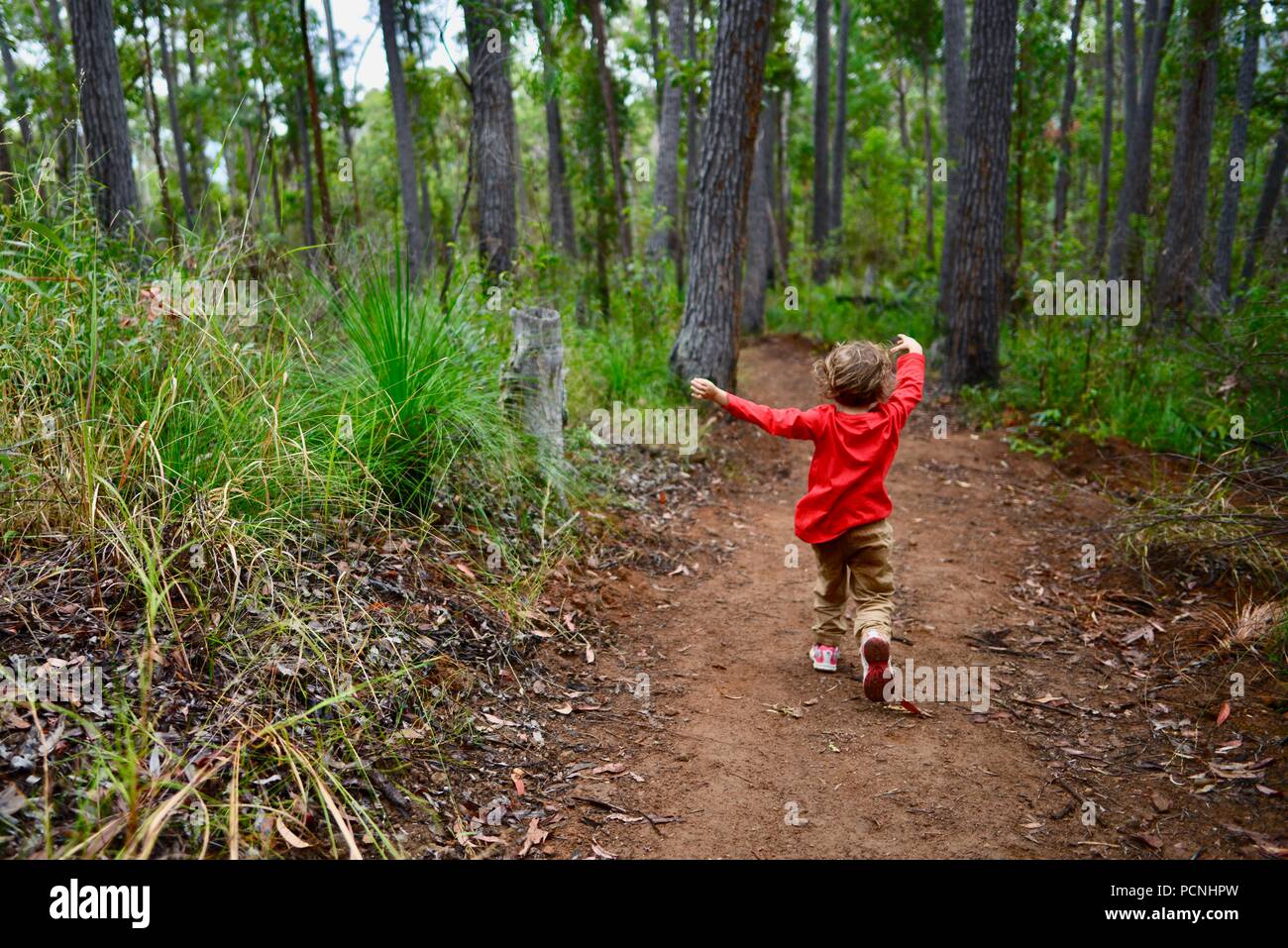 Aussie bushwalking hi-res stock photography and images - Alamy
