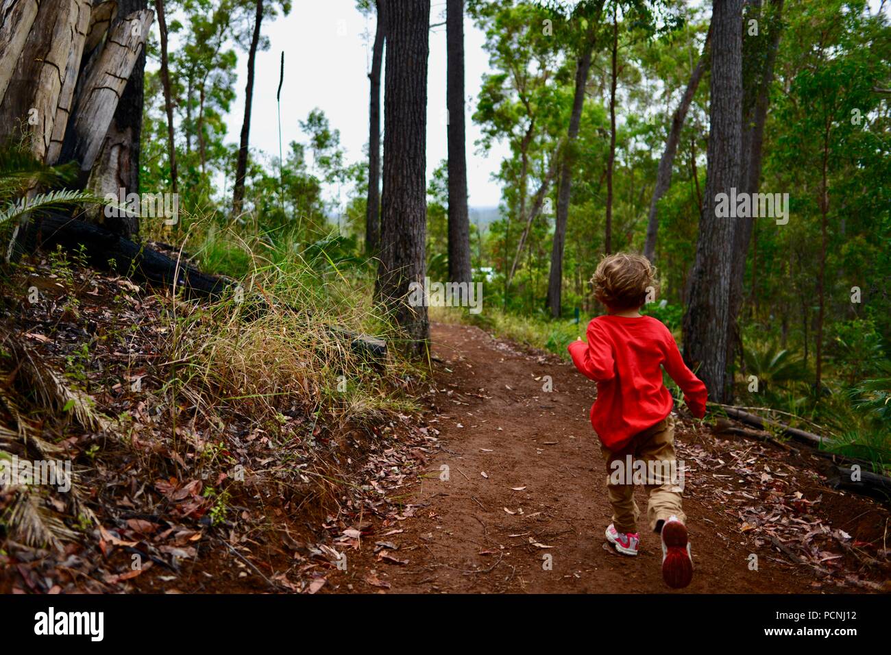 Aussie bushwalking hi-res stock photography and images - Alamy