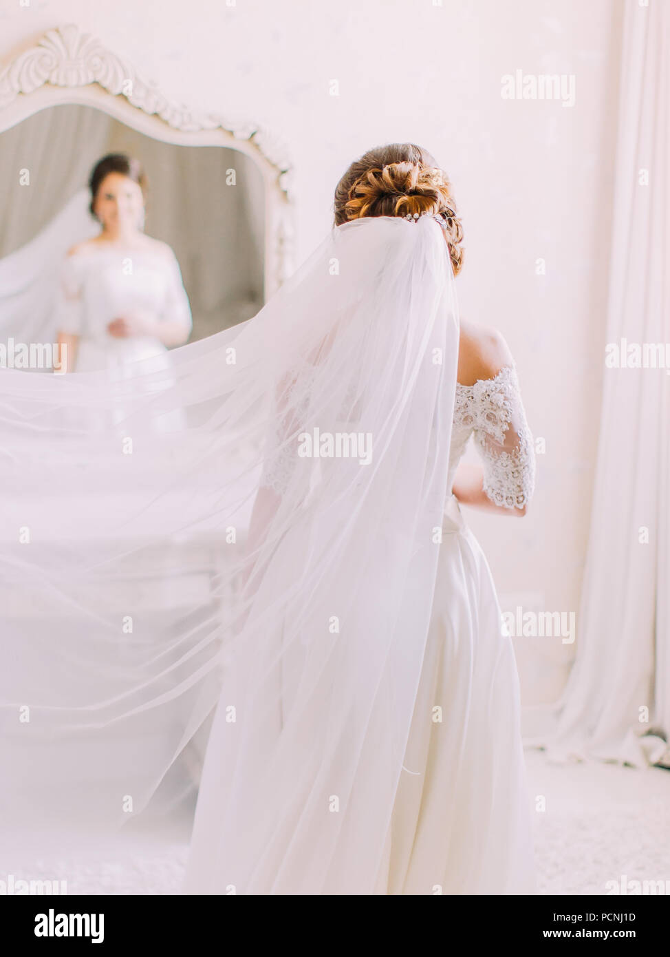 The back view of the bride with the veil on the head looking in the ...