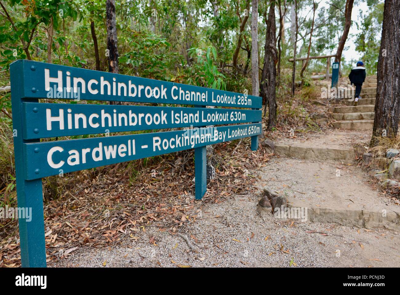 Children walking through a forest, Cardwell, Queensland, Australia ...