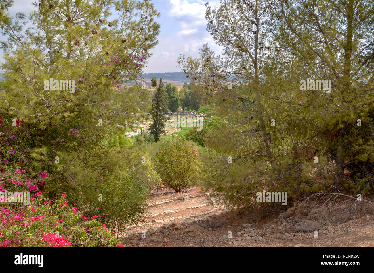 Israel, Jezreel Valley, Maayan Harod the Spring of Harod National Park ...