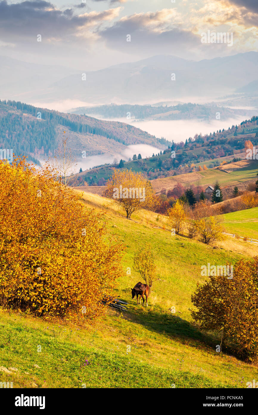 Mountainous ecology hi-res stock photography and images - Alamy