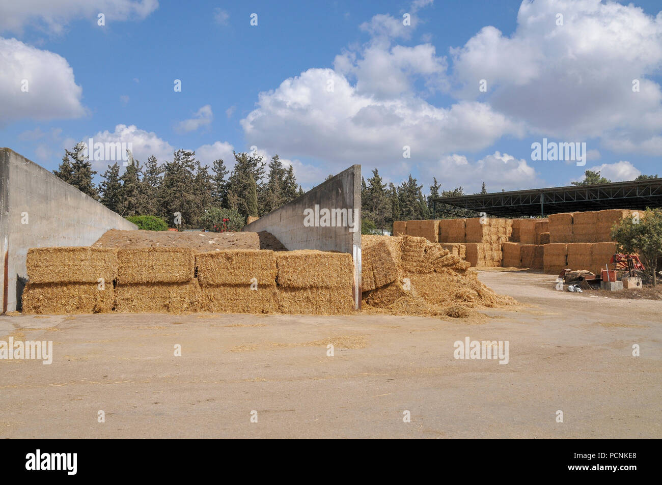 Israeli Kibbutz Farm High Resolution Stock Photography and Images - Alamy