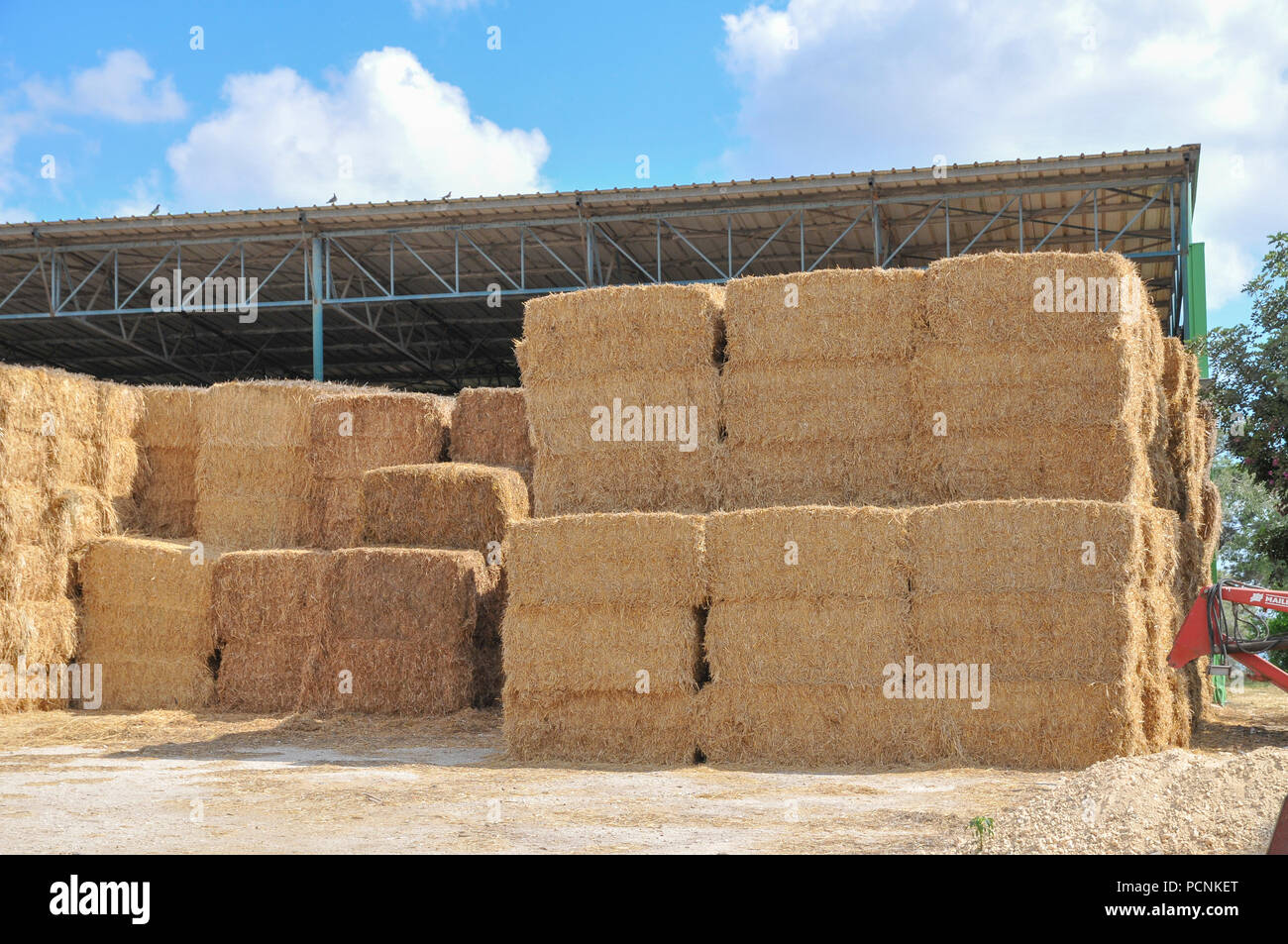 Bales of straw in storage in a dairy farm. Photographed at Kibbutz ...