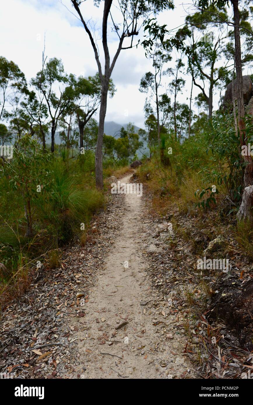 Cardwell, Queensland, Australia Stock Photo - Alamy