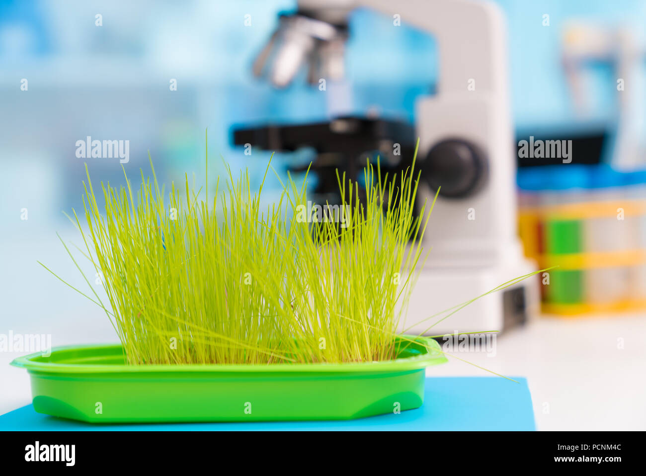 Grass end microscope in biological lab Stock Photo - Alamy