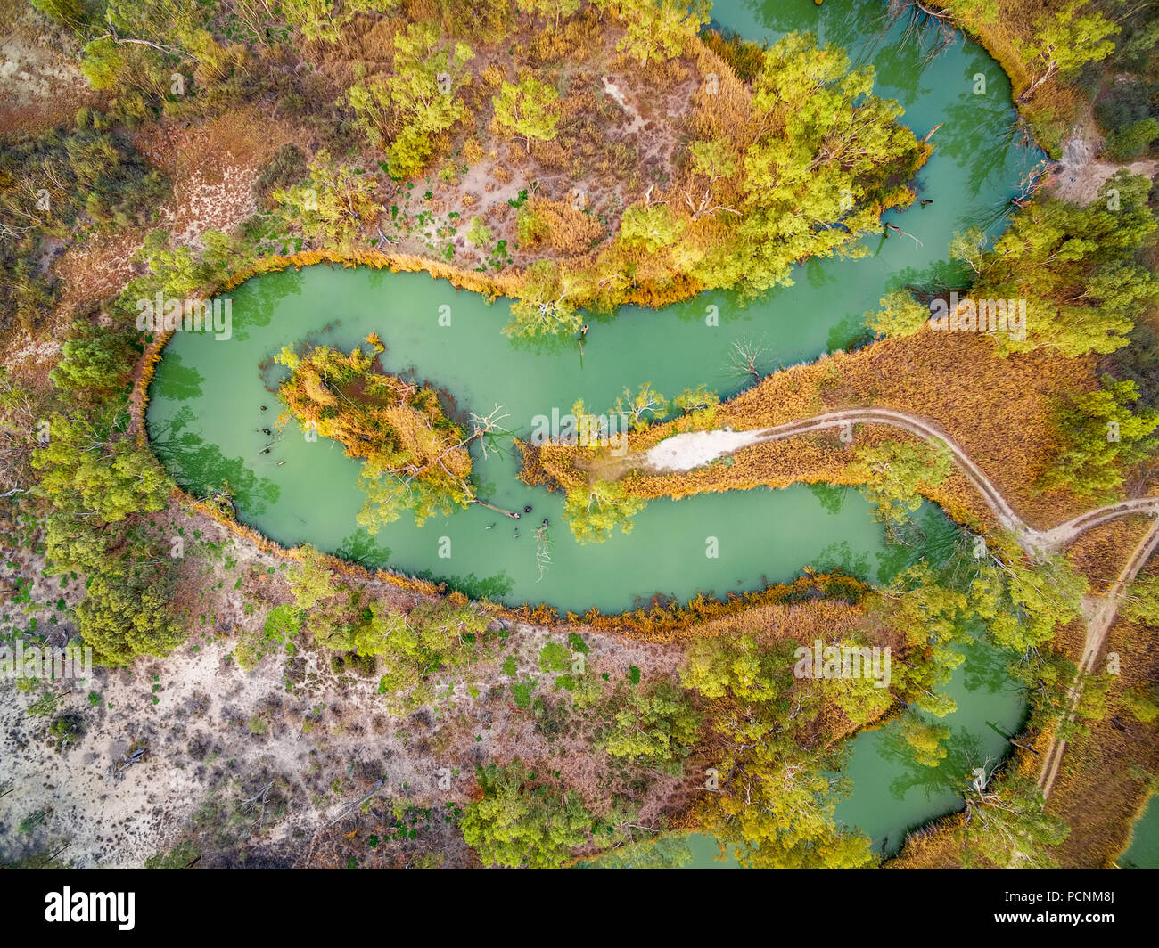 Looking down at magnificent meandering Murray River. Riverland, South ...