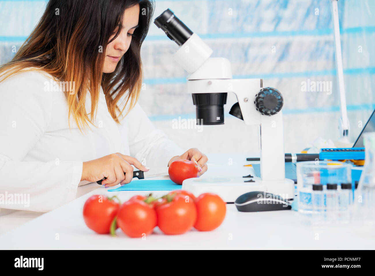 tomatoes in quality inspection lab Stock Photo - Alamy