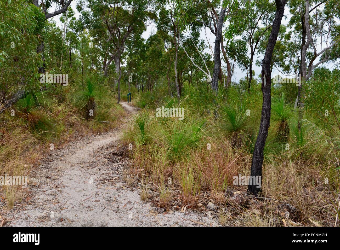 Cardwell, Queensland, Australia Stock Photo - Alamy