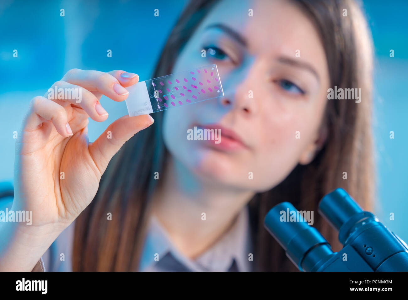 Blood sample on microscope slide. Researcher Analyzing Microscope Slide ...