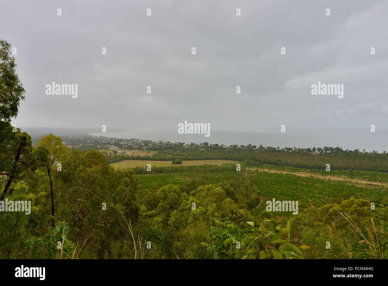 Cardwell state forest hi-res stock photography and images - Alamy