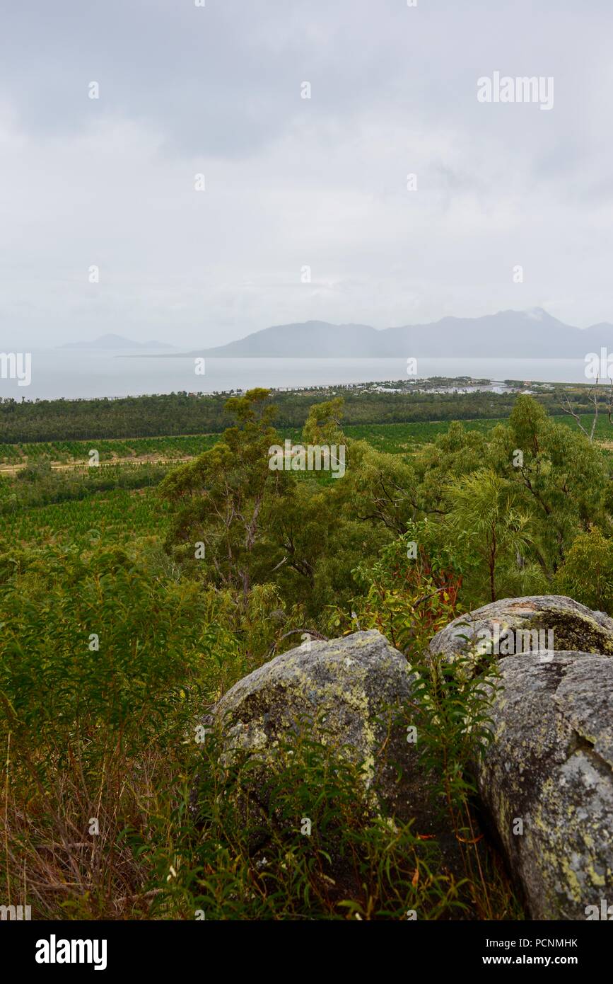 Cardwell state forest hi-res stock photography and images - Alamy