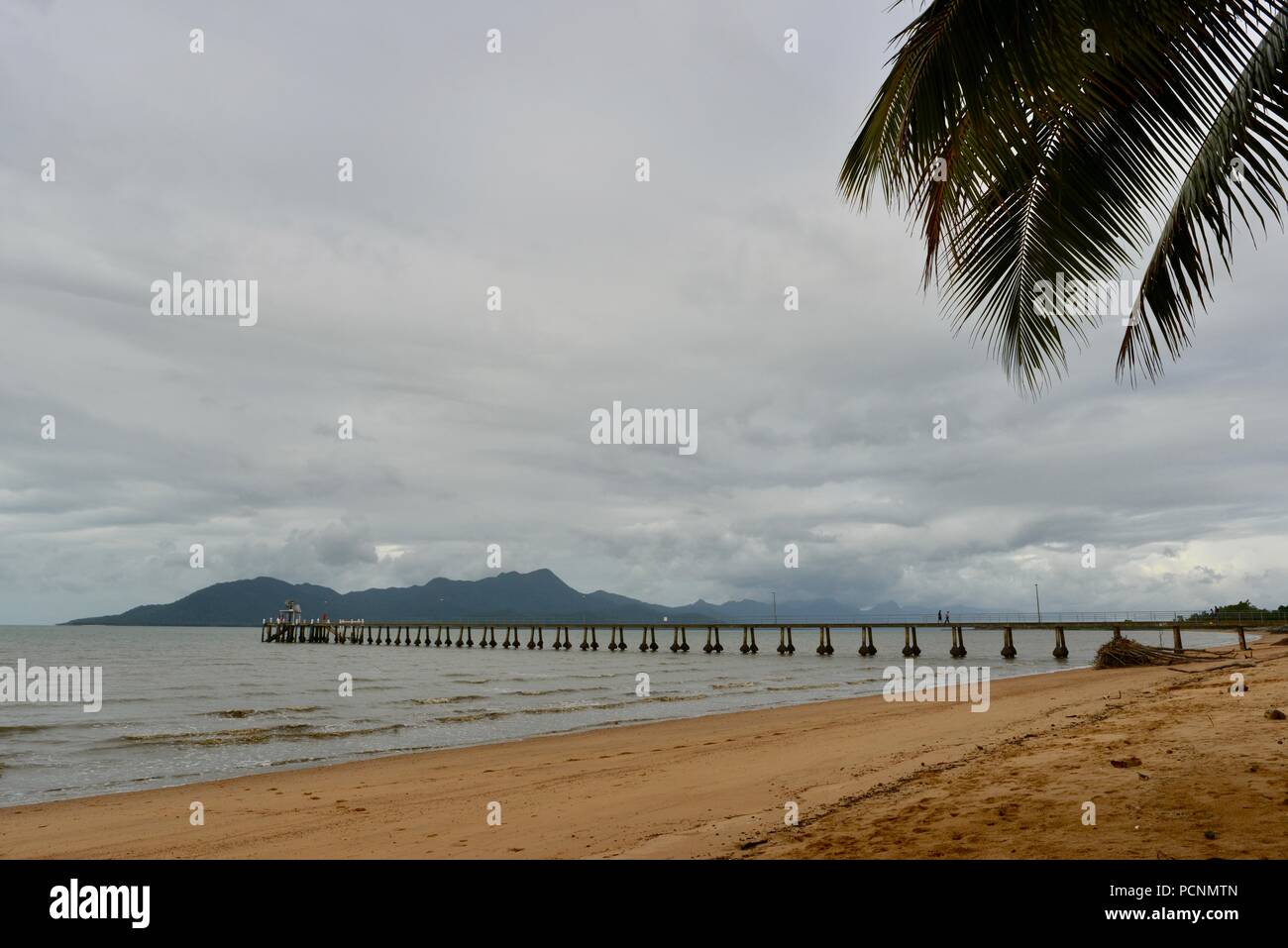 The Cardwell Jetty Hinchinbrook island a beach and a coconut palm tree ...