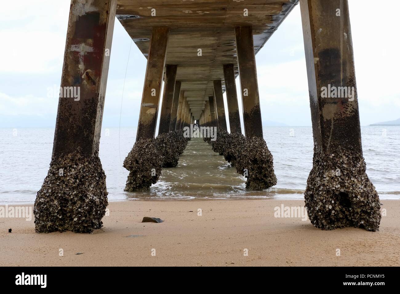The Cardwell Jetty, Cardwell, Queensland, Australia Stock Photo - Alamy