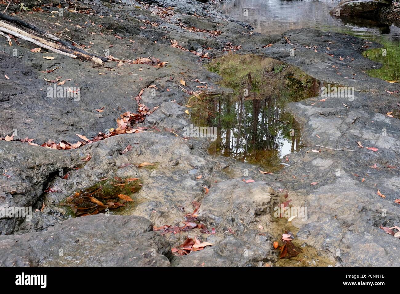 Cardwell, Queensland, Australia Stock Photo - Alamy