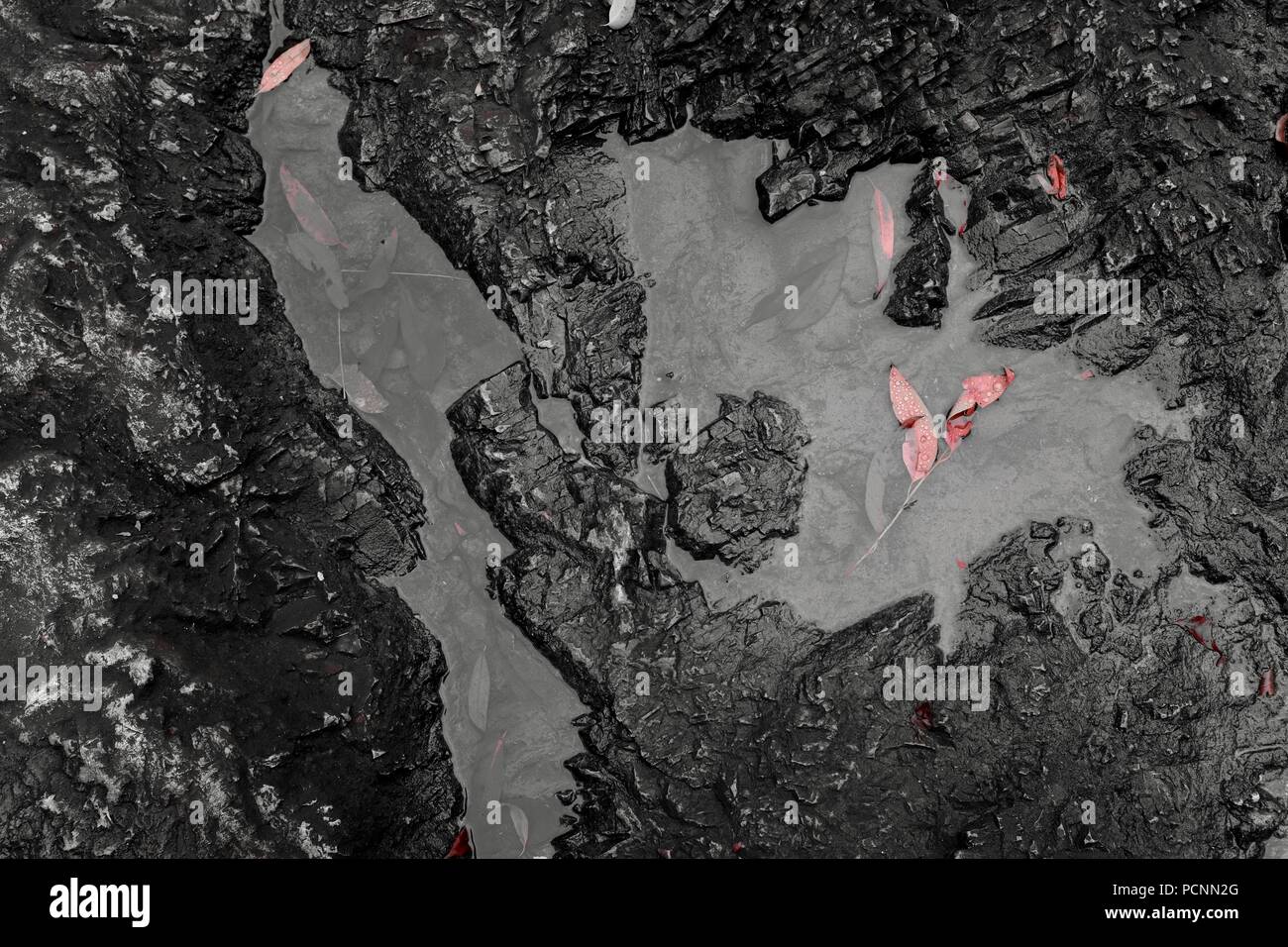 Semi grayscale hi-res stock photography and images - Alamy