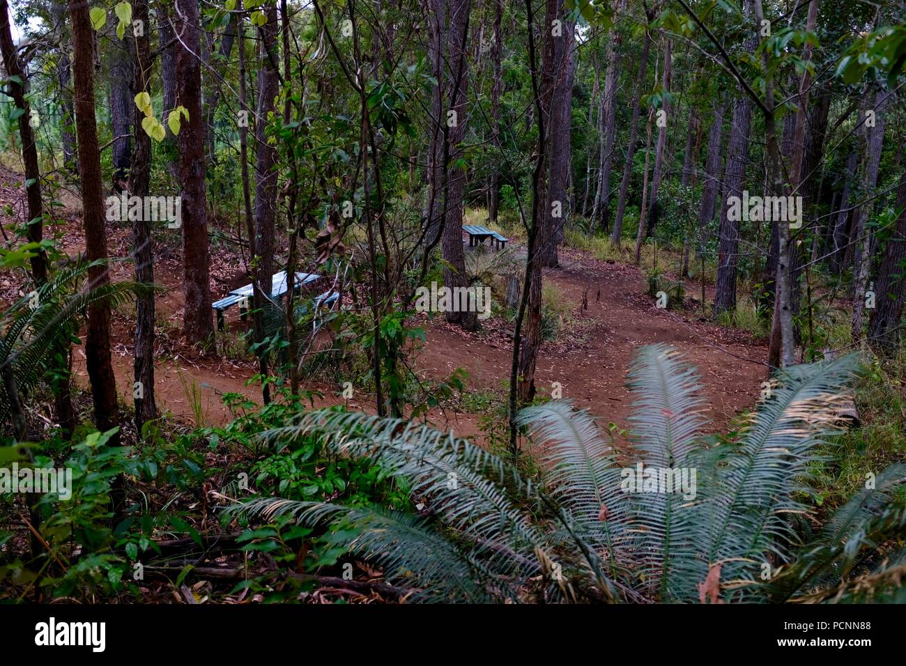 Cardwell, Queensland, Australia Stock Photo - Alamy