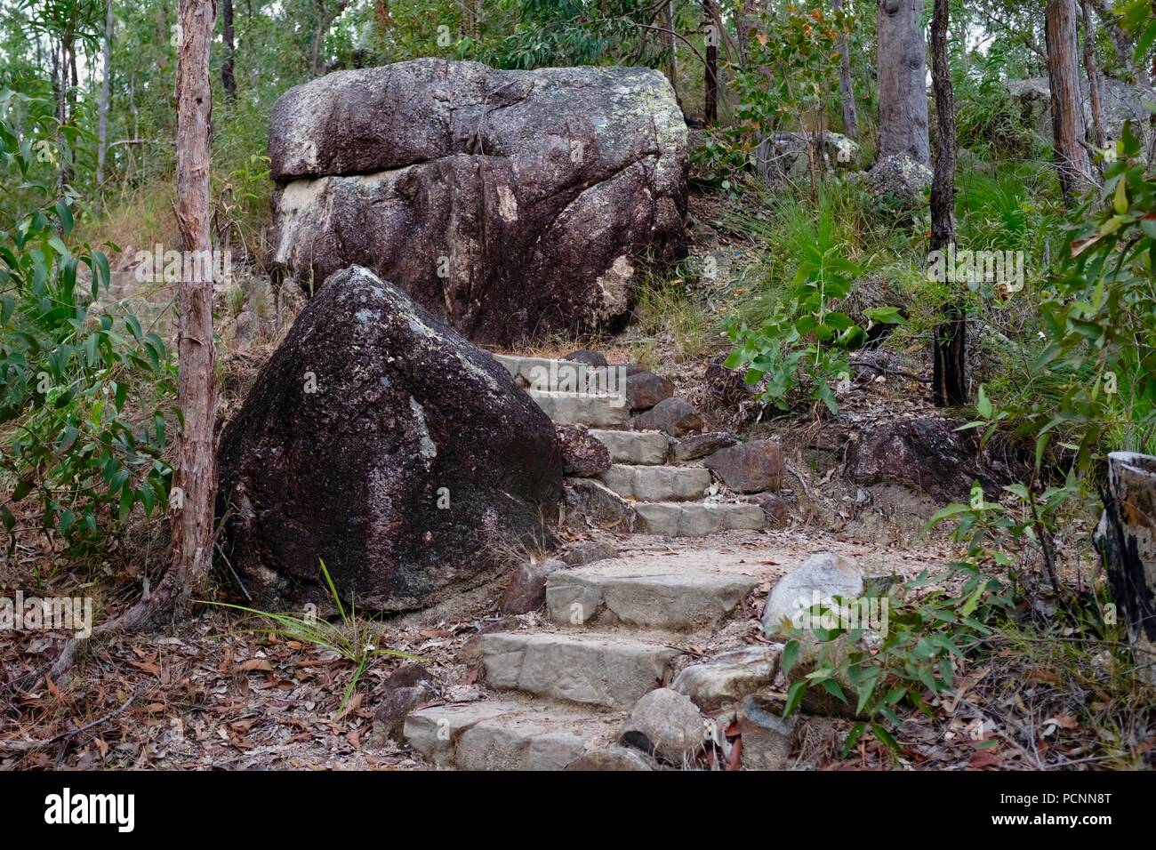 The path to the Rockingham Cardwell lookout, Cardwell, Queensland ...