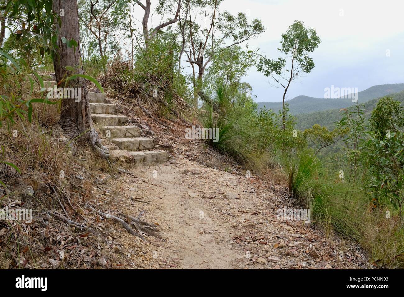 The path to the Rockingham Cardwell lookout, Cardwell, Queensland ...