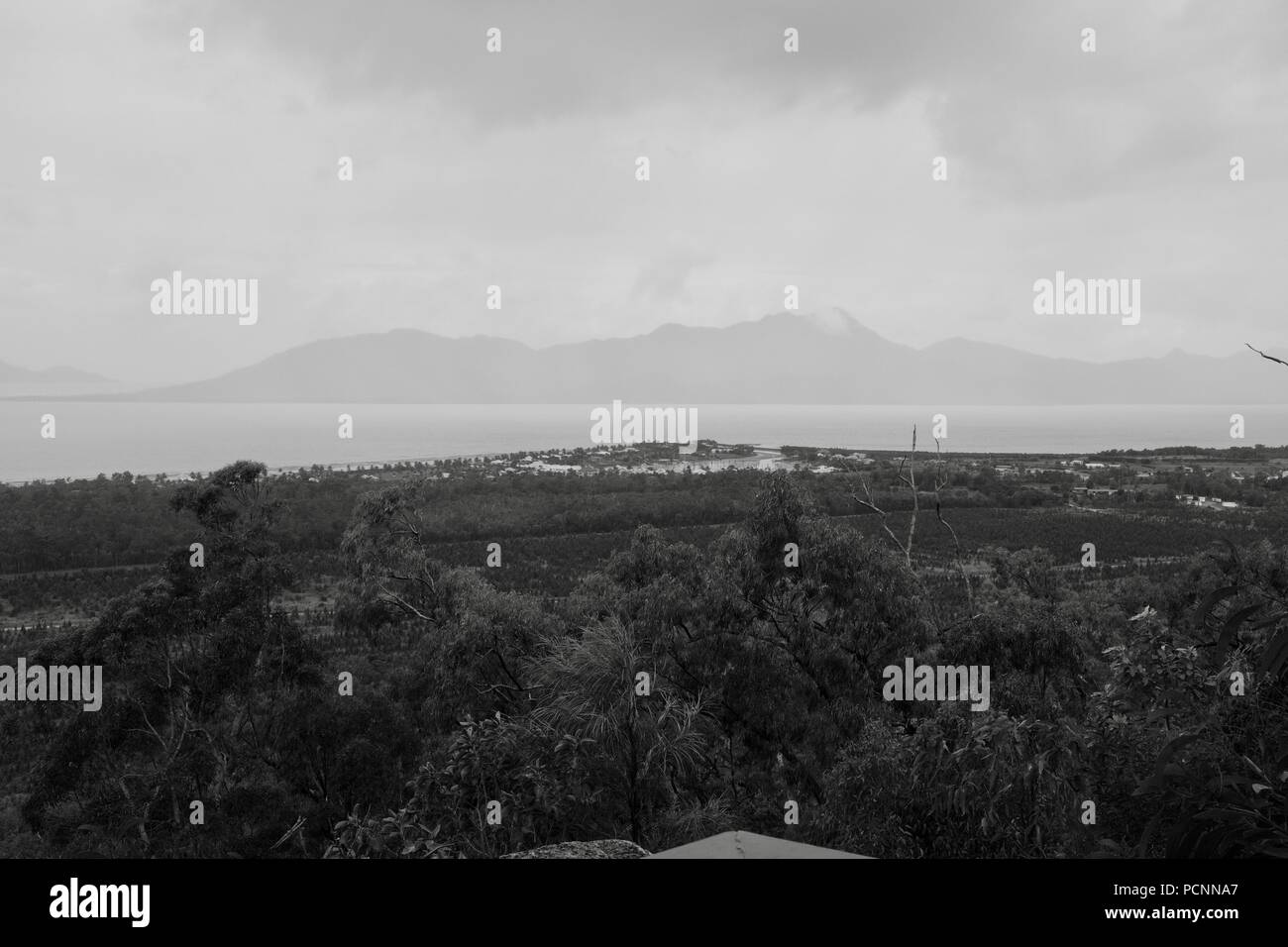 Cardwell state forest hi-res stock photography and images - Alamy