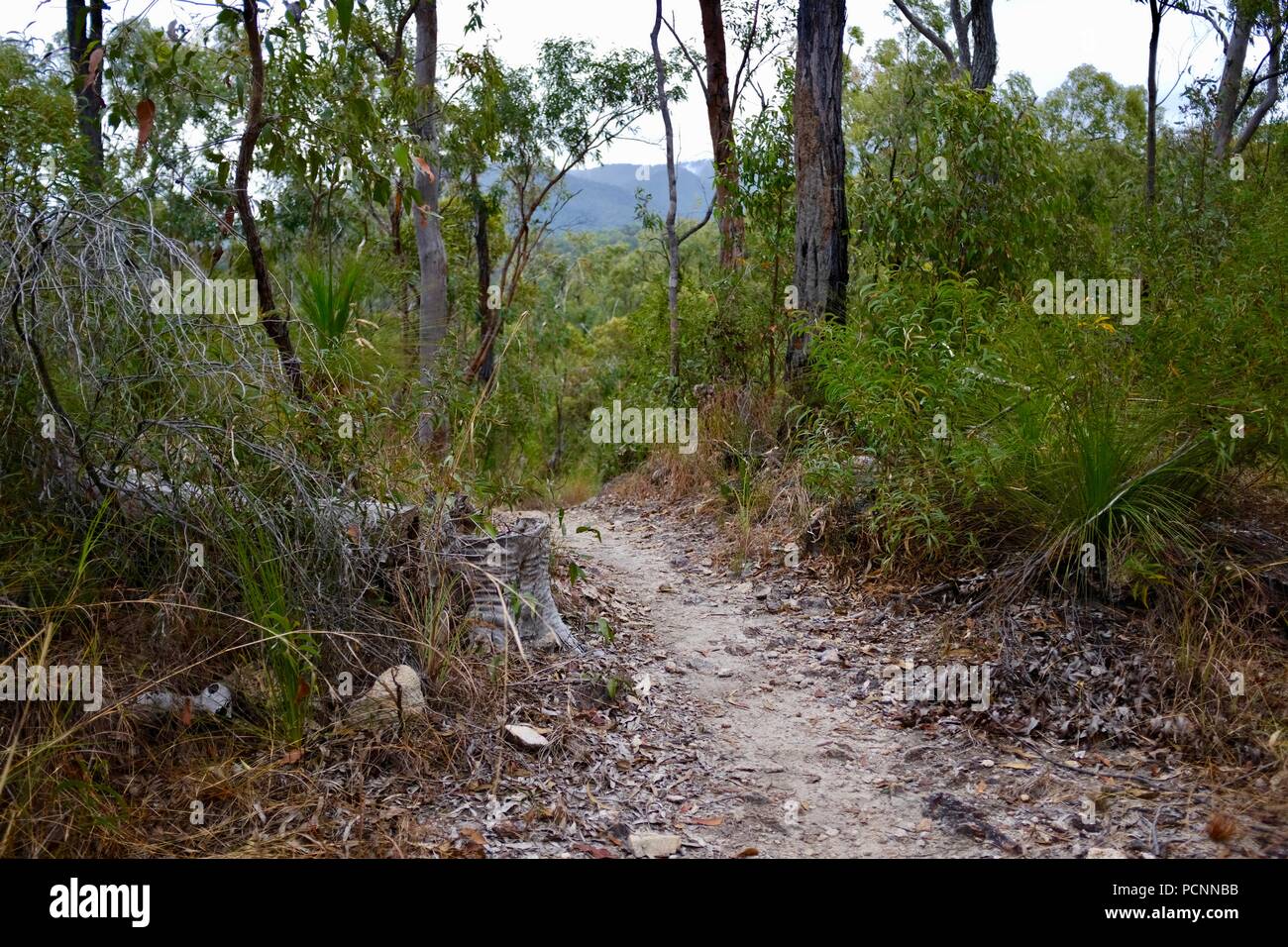 The path to the Rockingham Cardwell lookout, Cardwell, Queensland ...