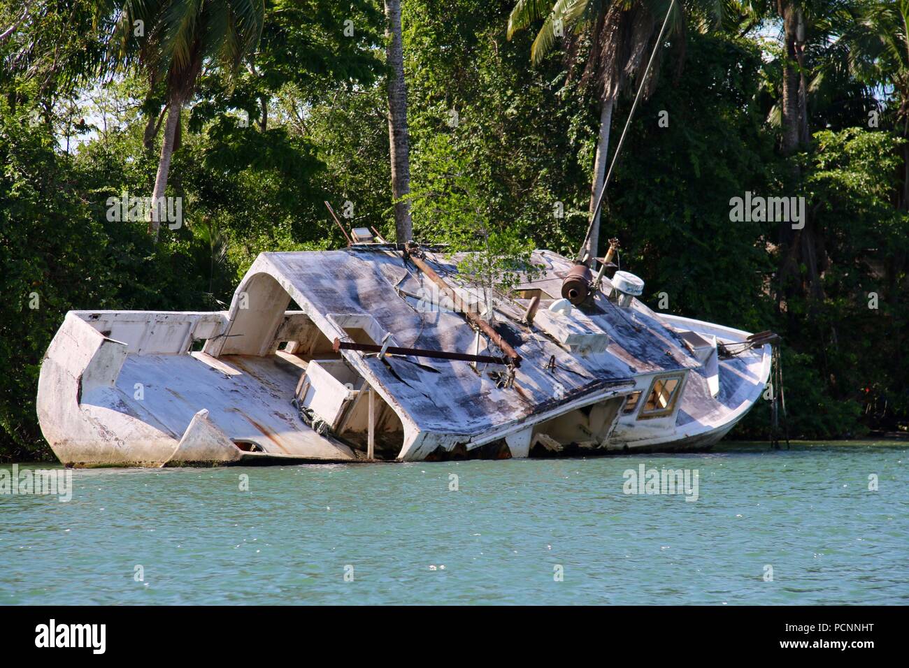 Old ship wreck boat in a river with a tree growing out of the roof in ...