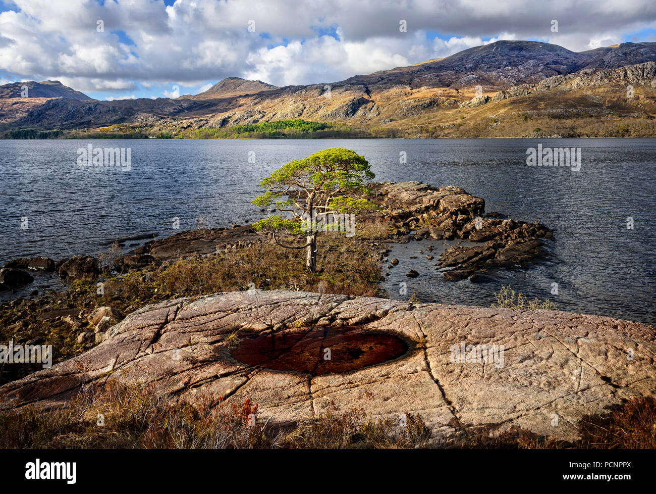 Loch Maree in the NW Scottish Highlands Stock Photo - Alamy